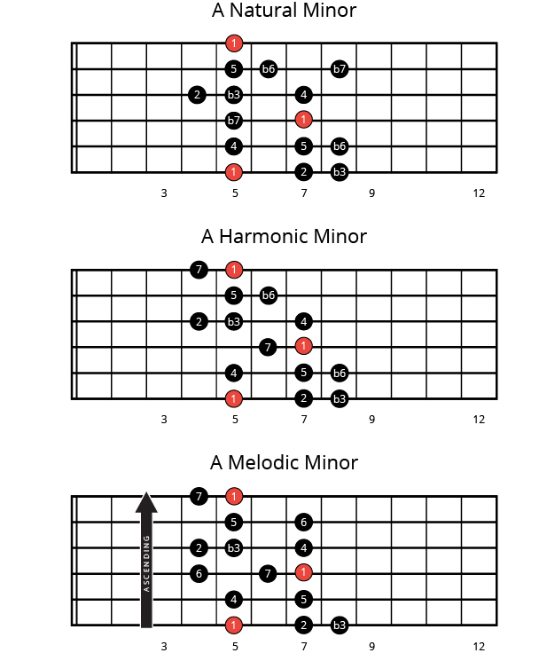 A Minor Scale Patterns – Troy Lawrence | Designer